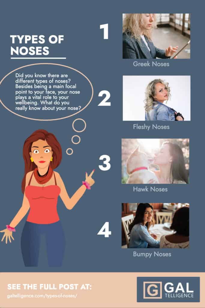 10 Beautiful Types of Noses - A Helpful Guide: Which One Is Yours?